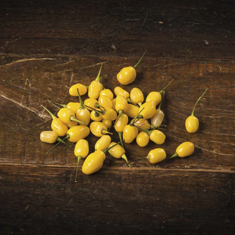As pimentas mais comuns do Brasil – Catarina Spices