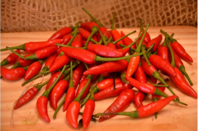 As pimentas mais comuns do Brasil – Catarina Spices